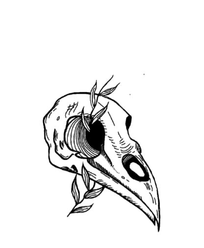 Fracture 𝑎𝑛𝑔𝑒𝑙𝑚𝑎𝑟𝑟𝑜𝑤