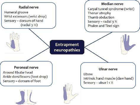 Severe Sensory Motor Axonal Neuropathy At Phyllis Fetter Blog