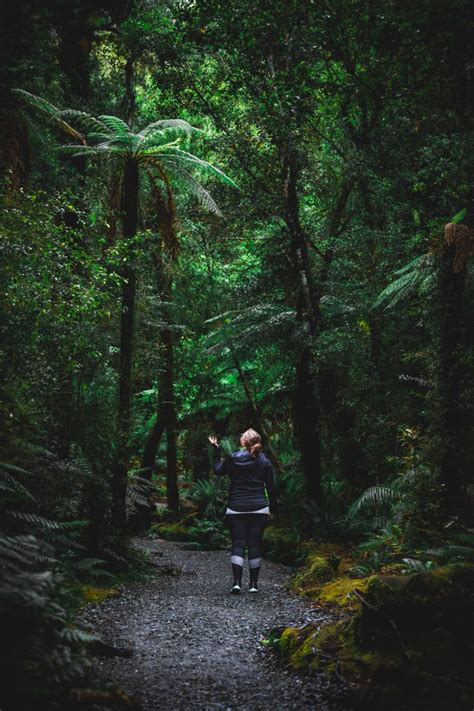 The Most Insanely Beautiful Water Ive Ever Seen Tucked Amidst An Equally Beautiful Rain Forest