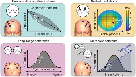 Effects Of Transcranial Alternating Current Stimulation Tacs On