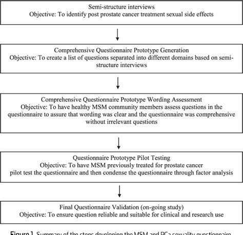 Figure 1 From Development Of A Sexual Quality Of Life Questionnaire For Men Who Have Sex With