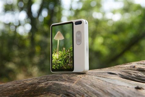 Is The Mirror Or Camera More Accurate Mefoto