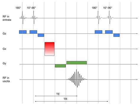 Ultra Fast Gradient Echo Rmnonline