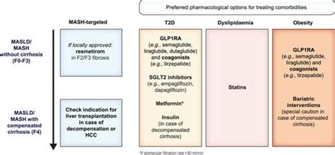 Easl Easd Easo Clinical Practice Guidelines On The Management Of Metabolic Dysfunction