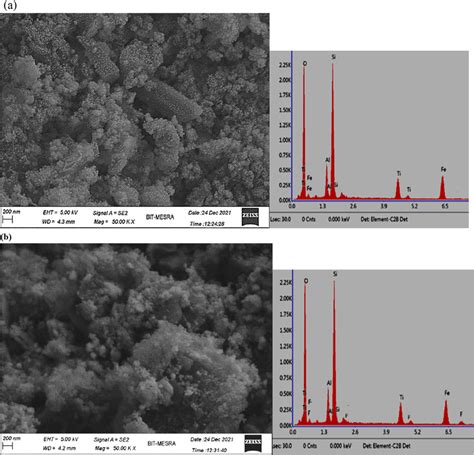 Sem Eds Analysis Of A Before And B After Treatment Of F⁻ 1 Ppm Using Narm Download Scientific