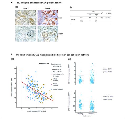 Co Expression And Activation Of Integrin Fak And Brd4 C Myc Axes In
