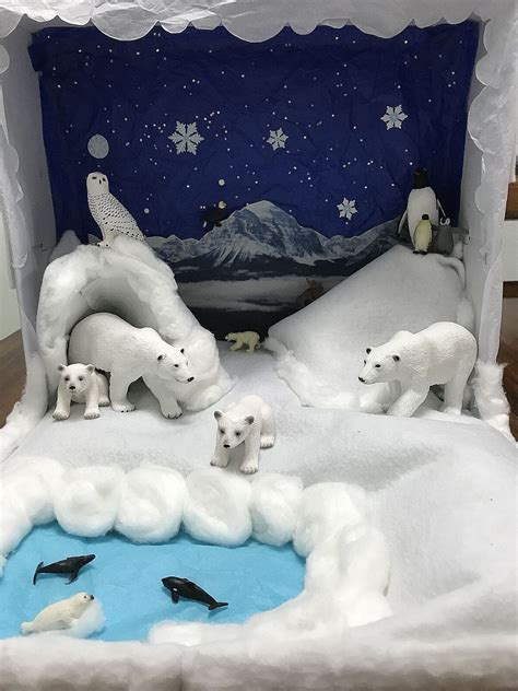 Arctic Habitat Diorama Super Simple Artofit