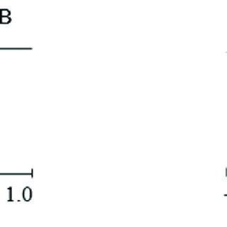 Triangular Membership Functions Triangular Membership Functions