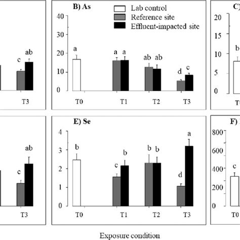 Concentrations µgg Dw Of A Cadmium Cd B Arsenic As C Copper