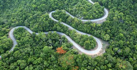 Harnessing Ecosystem Intelligence The Power Of Open Innovation Challenges Datascouts