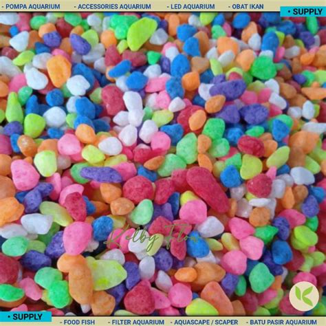 Jual Batu Warna Batu Fosfor Batu Hias Aquarium Import 350gr Shopee Indonesia