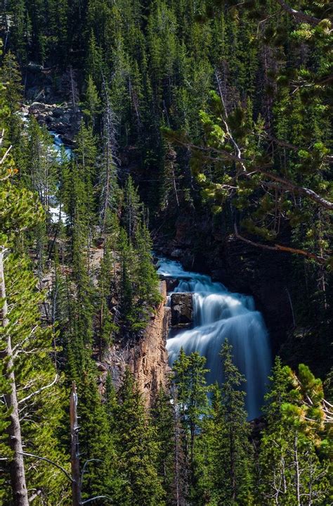 Waterfall Along Beartooth Highway 1349 X 2048 Oc Rearthporn