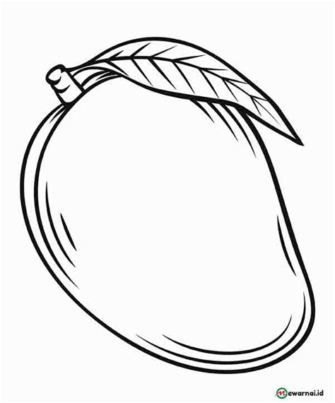 Sketsa Gambar Buah Mangga 51 Koleksi Gambar