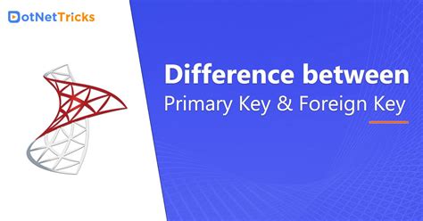 Dotnettricks On Twitter In This Article Describes The Difference Between Primarykey And