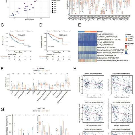 A Uniform Manifold Approximation And Projection Umap Plot Of Seven Download Scientific