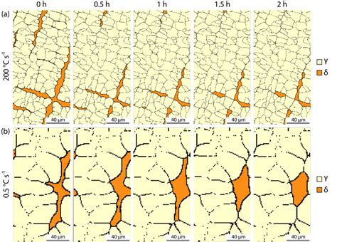 Micress Simulation Of The Microstructure Evolution During The Download Scientific Diagram