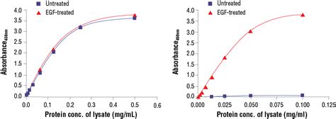 What Is An Elisa Assay Cell Signaling Technology