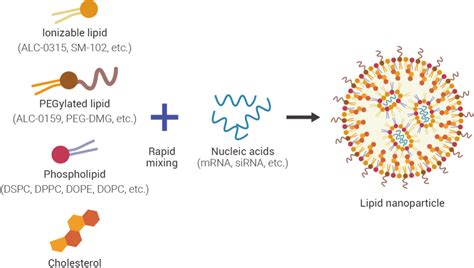 科学网—nature 常客？一文弄懂 Lnp，内附制备 Protocol Mce 蒲姣姣的博文