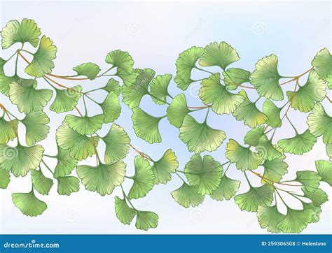 Ginkgo Biloba Leaves Seamless Pattern Background Stock Vector Illustration Of Backdrop