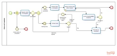 Process Flow Using Bizagi