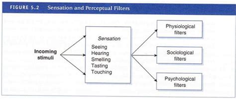 Sensation And Perceptual Filters Alexandrasacasa Flickr