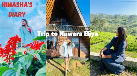 Trip To Nuwara Eliya🍃⛰️himashas Diary Willmount Cabins Vcaymodeon Youtube