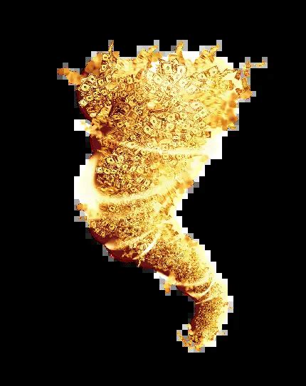 Png پی ان جی بسته های پول برای طراحی کاتالوگ‌ها و بروشورها