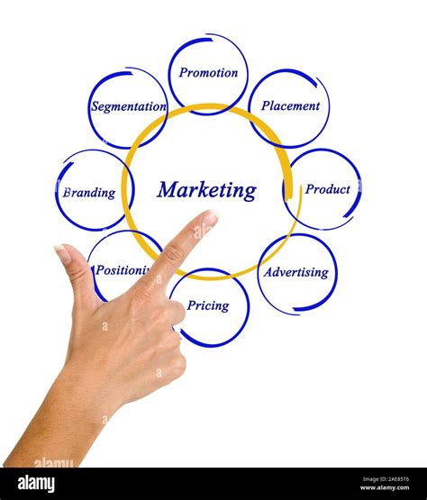 Diagram Of Marketing Stock Photo Alamy