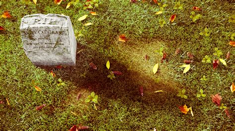 Creating Grass In Blender CG Cookie