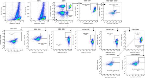 Immunophenotyping Panel For Regulatory T Cells Download Scientific