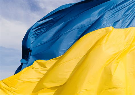 Webinars Free Movement