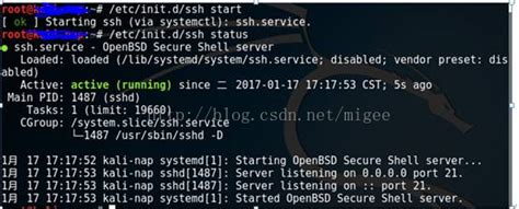 密码正确，ssh无法登陆 Password Authentication Failed Permission Denied Please