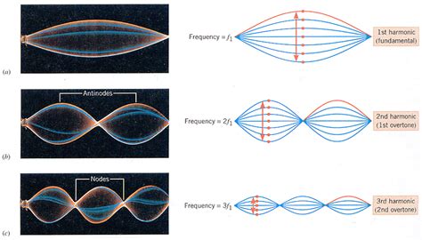 Transverse Standing Waves Homework Lib