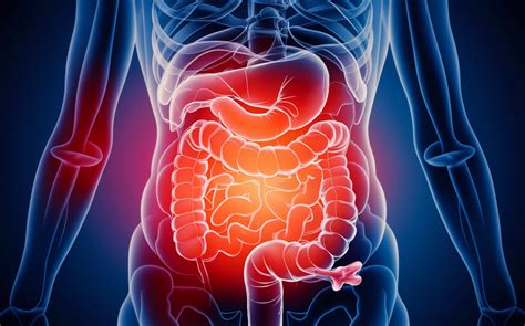 Understanding Gastrointestinal Bleeding Causes Symptoms Diagnosis Treatment And Prevention