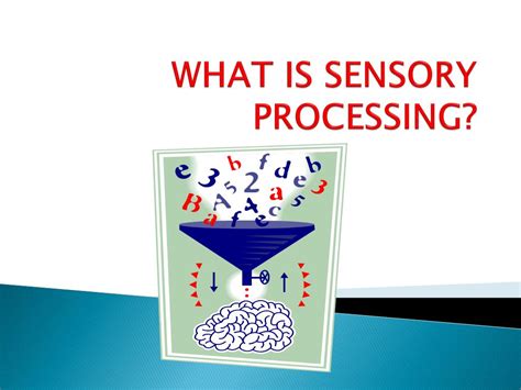 Ppt Sensory Processing Powerpoint Presentation Free Download Id553930