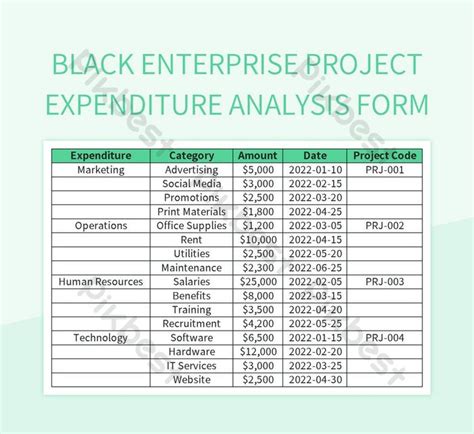 Black Enterprise Project Expenditure Analysis Form Excel Template Free Download Pikbest