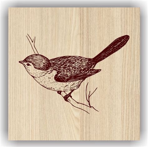 Birds On Tree Branch 3d Model Vector Files