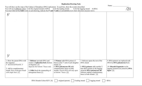Replication Drawing Task You Will Draw Out The Steps