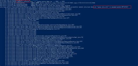 InaccessibleObjectException Error With Java 16 Issue 1099