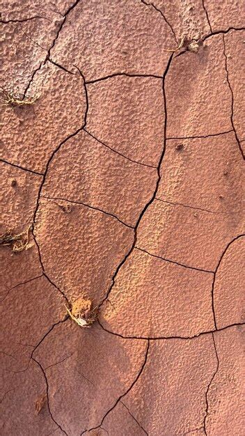 Premium Photo Mud Sediment