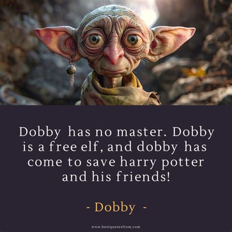 58 Iconic Dobby Quotes Harry Potters Truest Friend