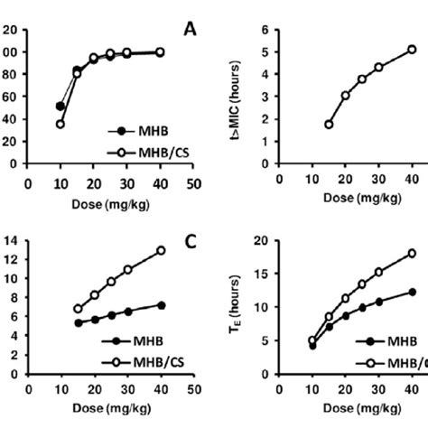 Simulation Of The Antibacterial Activity Of Cephalexin On E Coli After