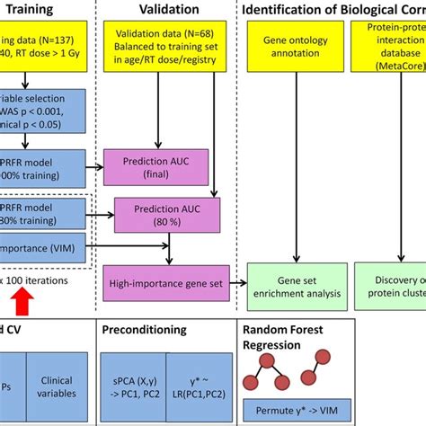 A Flowchart Summarizing The Data Analysis Pipeline Abbreviations Download Scientific Diagram