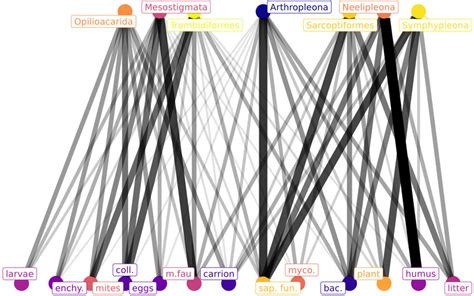 Bipartite Graph Showing The Use Of Trophic Resources By The Main Orders