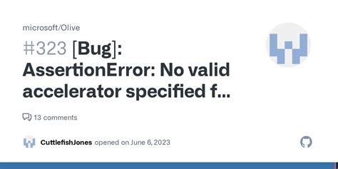 Bug Assertionerror No Valid Accelerator Specified For Target System · Issue 323