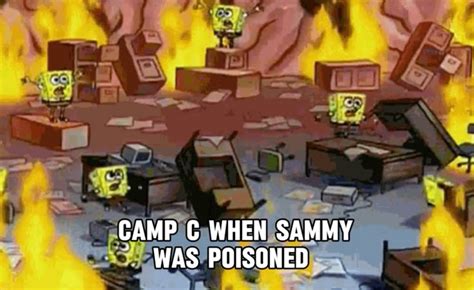 Spongebob Campfire Spongebob Throwing Paper In Fire Meme Spongebob
