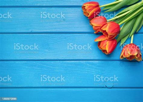 휴일 봄 배경 하얀 나무 배경에 화려한 튤립 꽃 발렌타인 데이 여성의 날 및 어머니의 날을위한 복사 공간이있는 인사말 카드 상단 보기 0명에 대한 스톡 사진 및 기타 이미지
