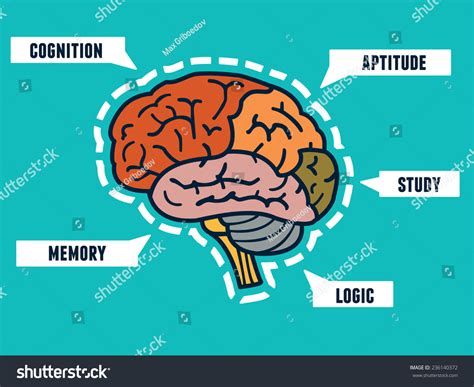 Brain Mind Map Greenwaystandard