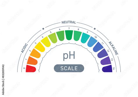 Semicircle Ph Acid Base Scale Ph Values Chart Vector Acidity Alkalinity Chart Stock Vector