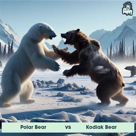 Polar Bear Vs Kodiak Bear See Who Wins Animal Matchup